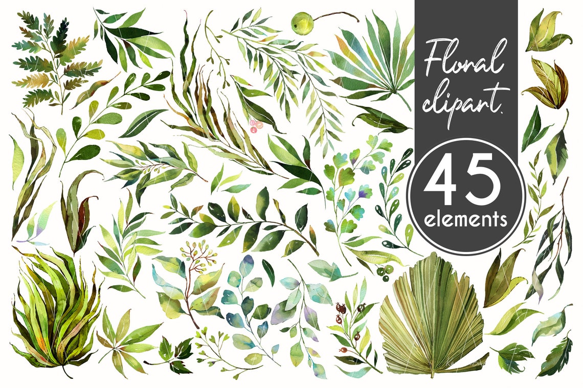 45 Floral Elements Clipart Forest Leave Boho Clipart Flower | Etsy