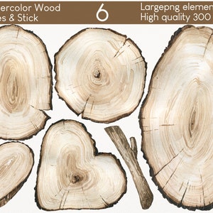 Rustic Wood Slices Watercolor Clipart Design Elements Wood Burned Art ...