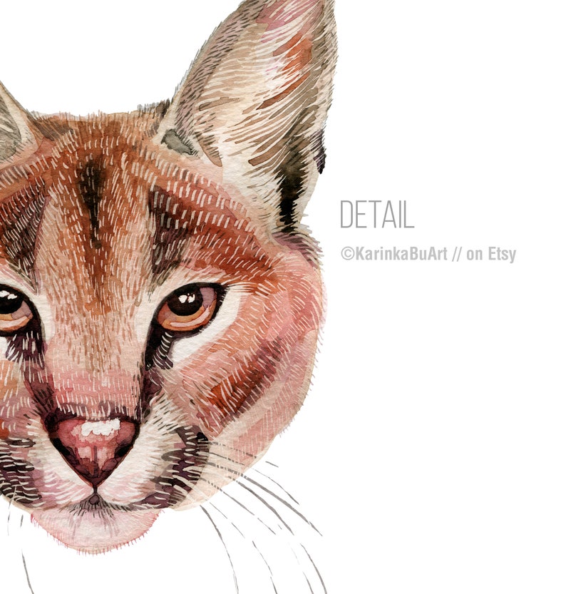 Caracal Print Power Animal Big Cat Lover Gift Cougar Print - Etsy