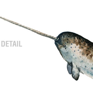 Narwhal Poster Watercolor Print Art Print Arctic Whale Print Beach ...
