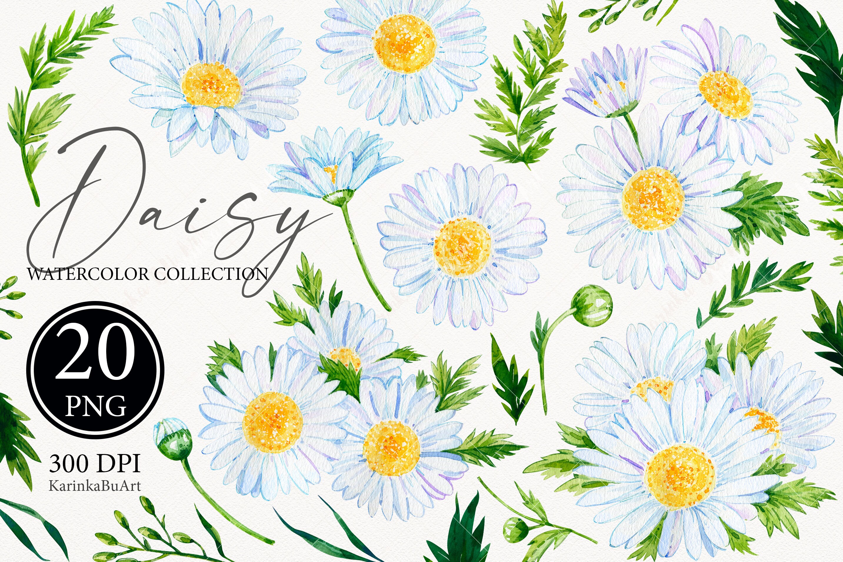 Watercolor Daisy Flower Clipart. Spring Meadow. Camomile Png. - Etsy