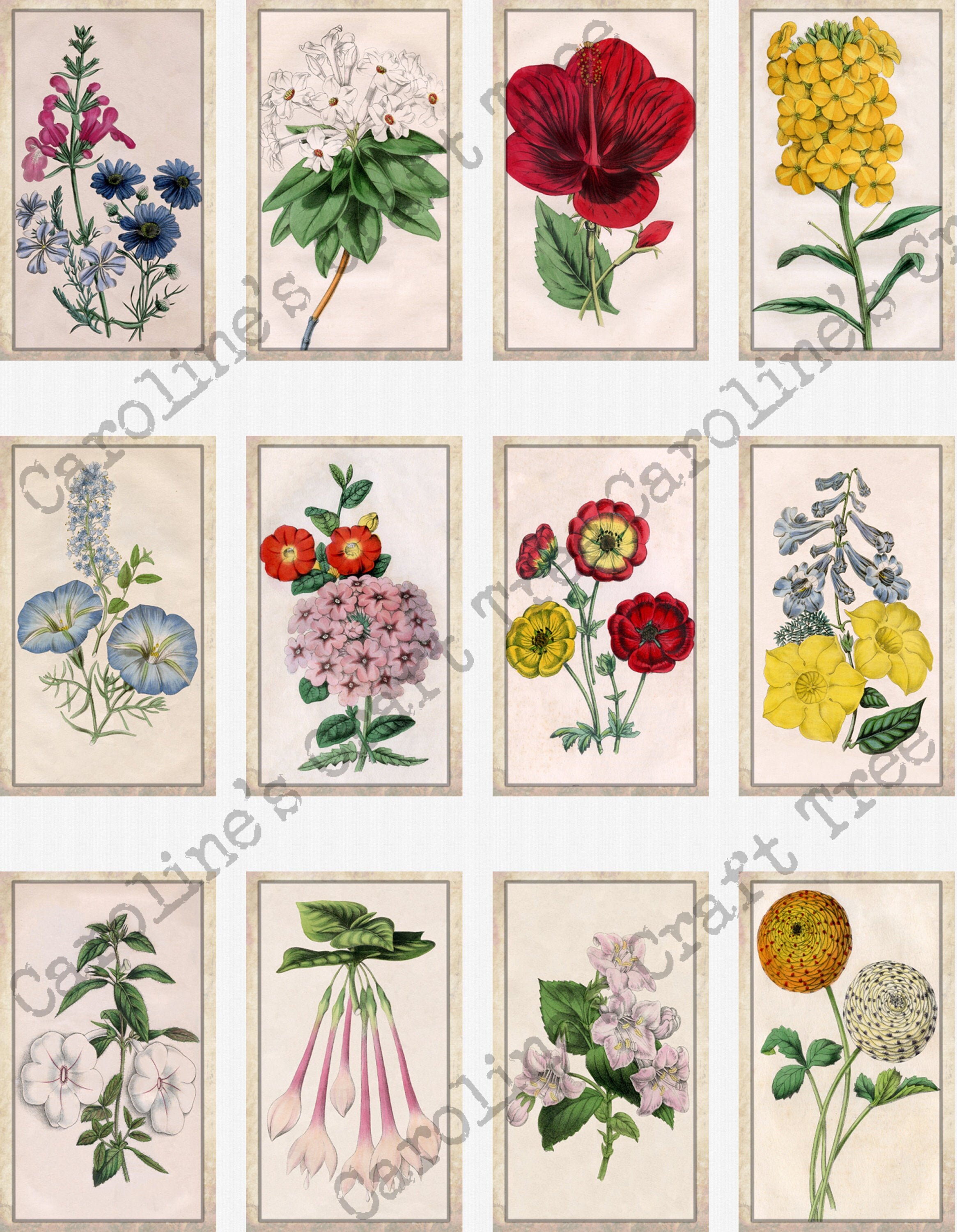 Printable Faux Vintage Flower Tea Cards Download Ephemera | Etsy Canada