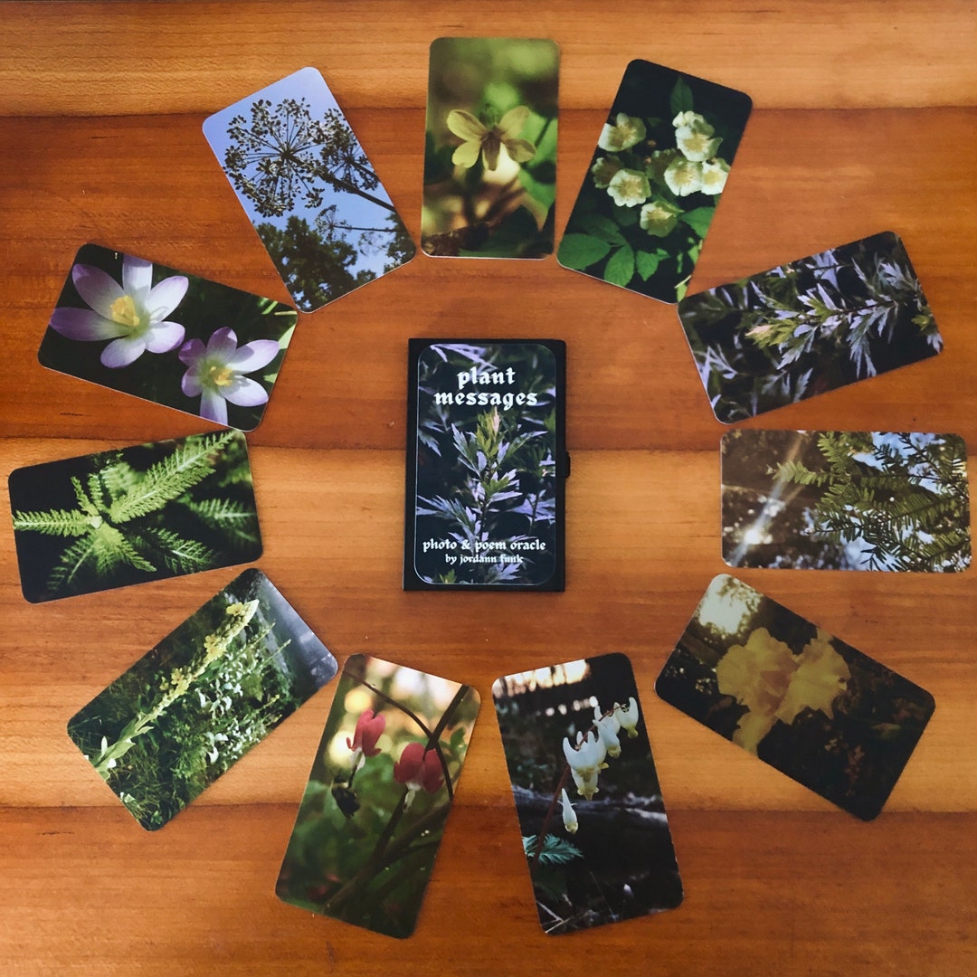 Plant Messages — Photo & Poem Oracle Cards - Etsy