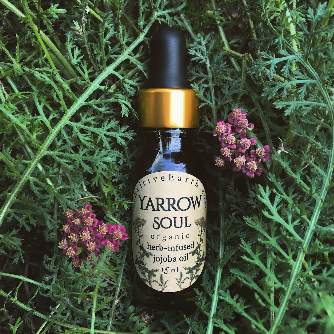 Potent Yarrow Jojoba Oil Face & Body Organic Soul Oil - Etsy