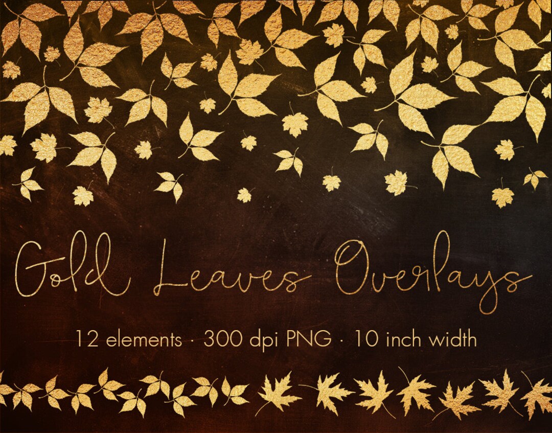 Gold Leaf Overlays, Gold Leaves Clipart, Autumn Leaves Clip Art, Fall ...