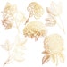 Gold Flower Overlays, Gold Leaves Overlay Clipart, Gold Floral Clipart ...
