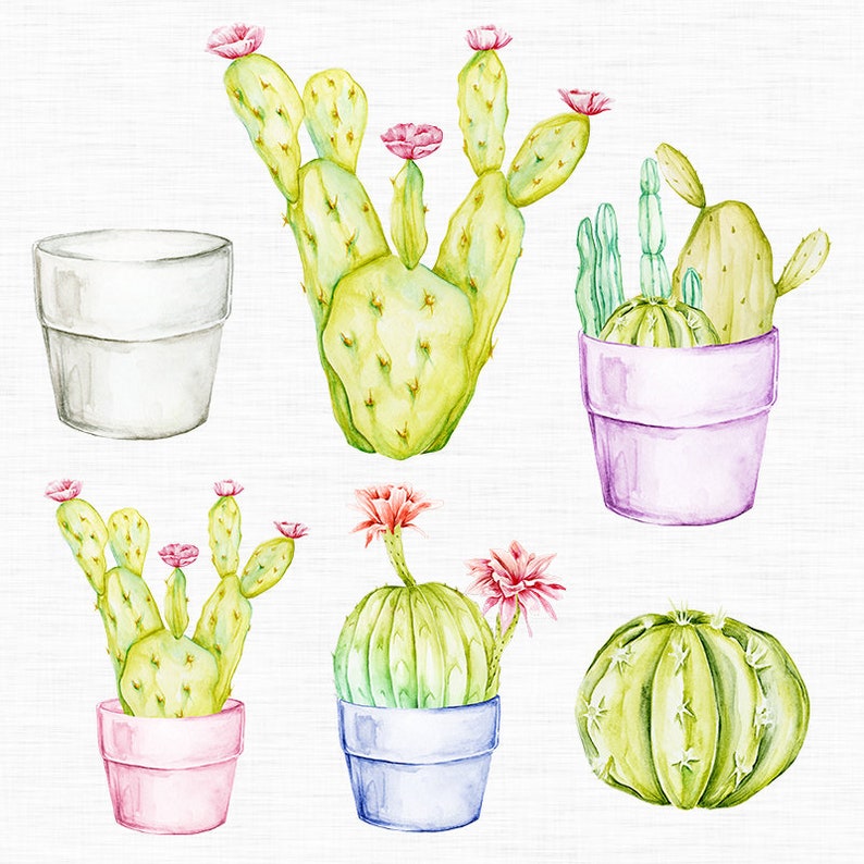 Watercolor Cactus Clip Art, Watercolor Cactuses, Summer Clip Art ...