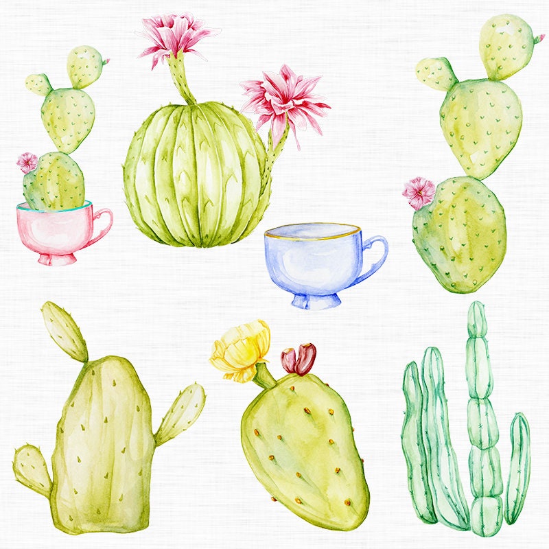 Watercolor Cactus Clip Art Watercolor Cactuses Summer Clip | Etsy