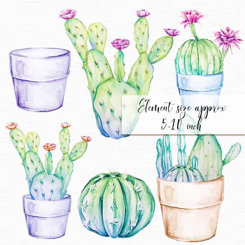 Watercolor Cactus Clip Art Watercolor Cactuses Summer Clip - Etsy
