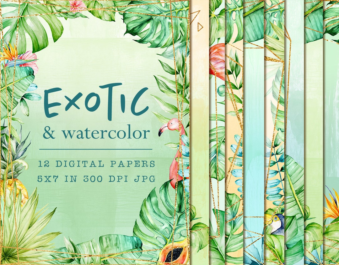 Exotic Digital Paper Pack, 5x7 Papers, Floral Papers, Floral Frames ...