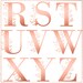 Rose Gold Monogram Alphabet Clipart, Wedding Rose Gold Alphabet, Floral ...