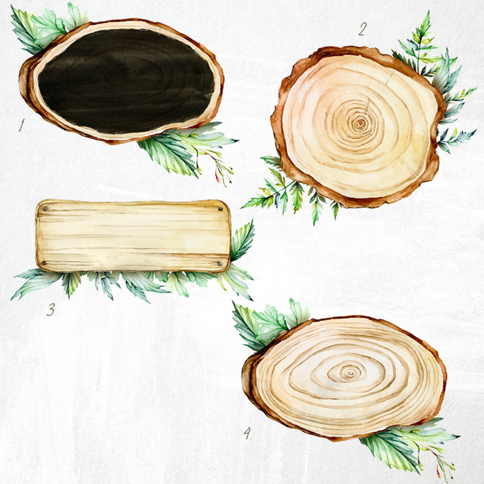 Wood Slices Clipart Floral Frames Watercolor Wooden Slices | Etsy