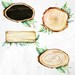 Wood Slices Clipart, Floral Frames, Watercolor Wooden Slices, Wedding ...