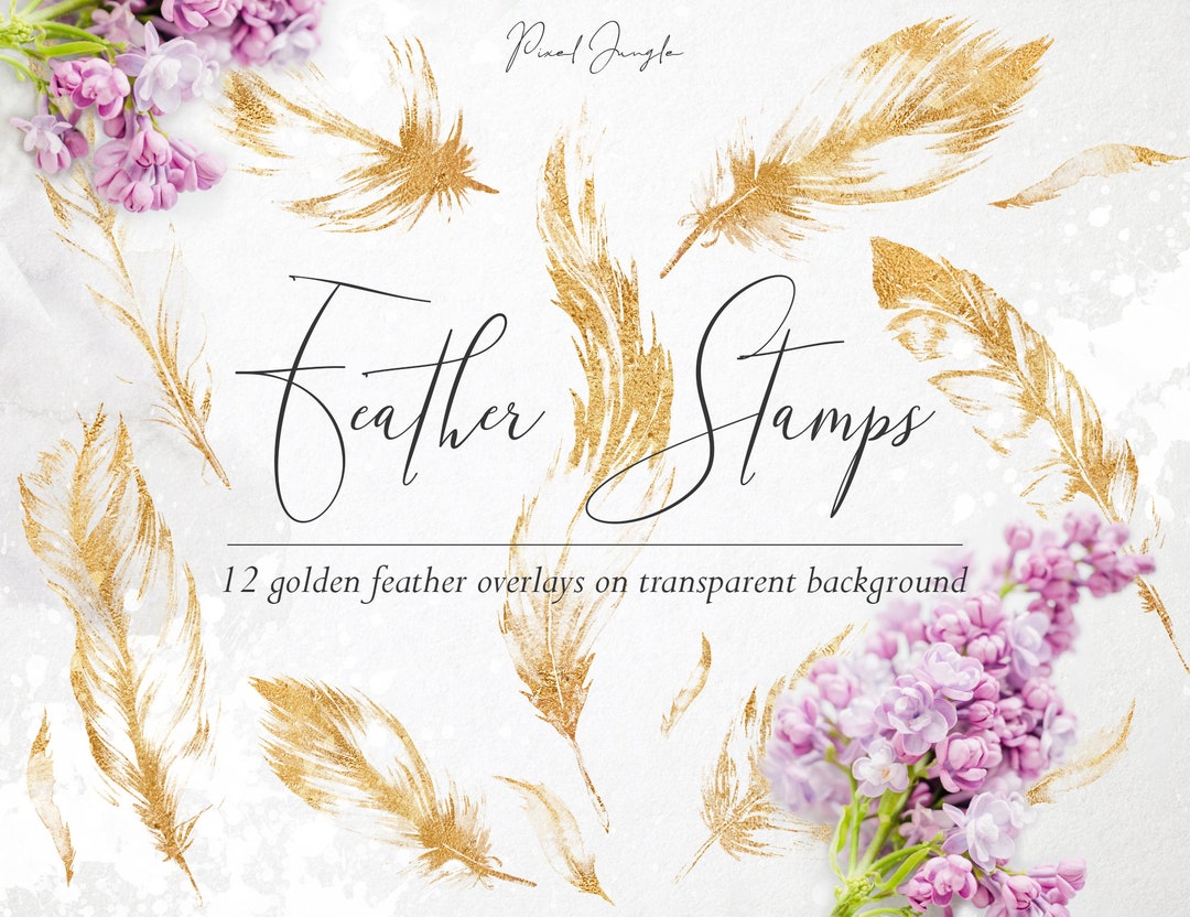 Shimmering Feathers Clipart, Gold Feathers, Bird Feather Overlays, Gold ...