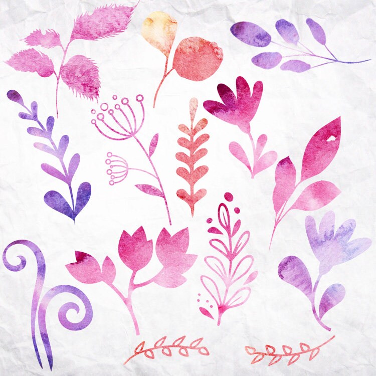 Watercolor Floral Elements Clipart Watercolor Design - Etsy