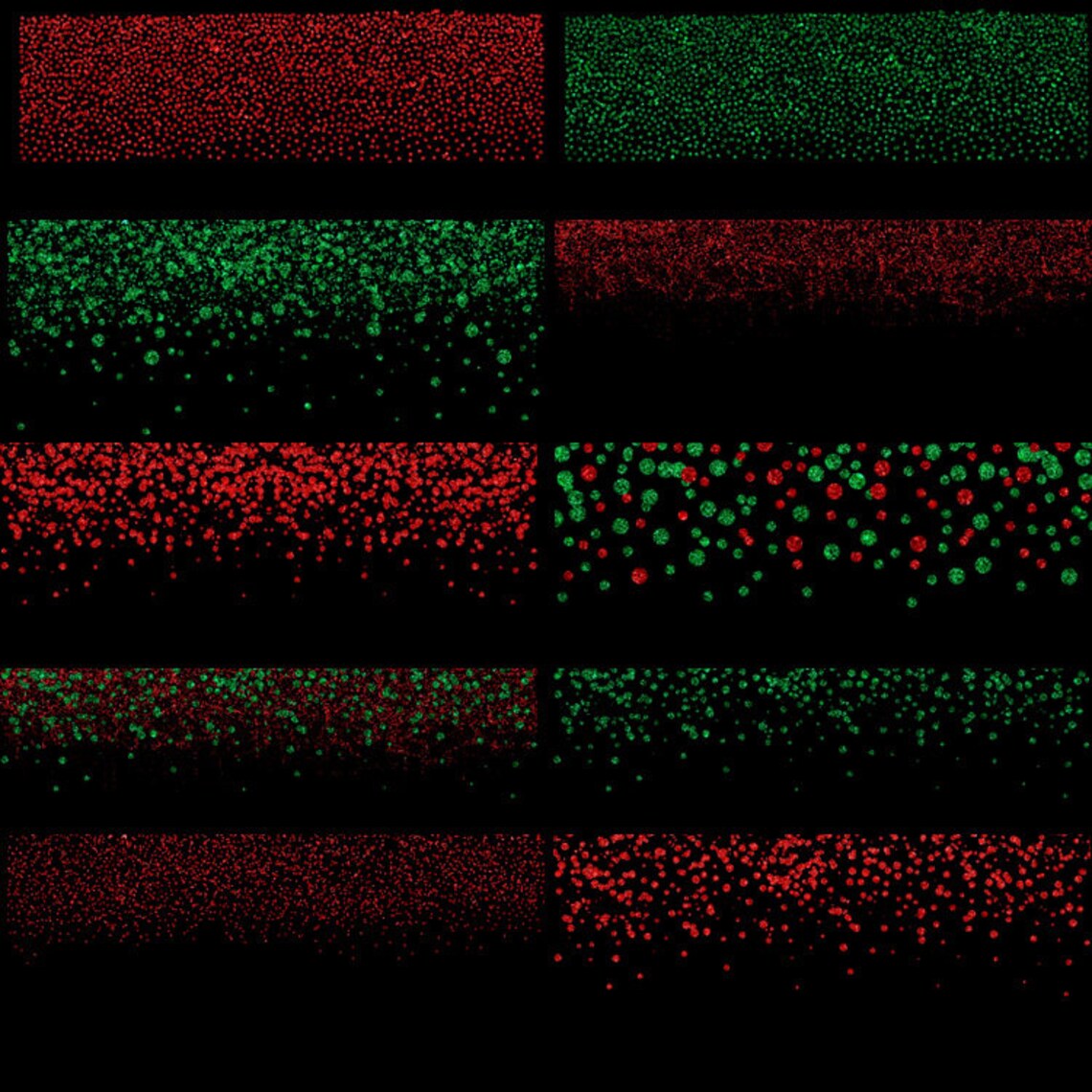 Christmas Confetti Borders Glitter Confetti Red Green - Etsy