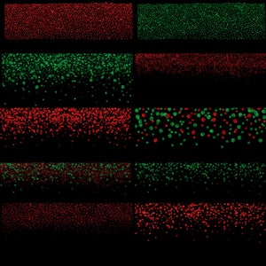 Christmas Confetti Borders, Glitter Confetti, Red Green Confetti ...