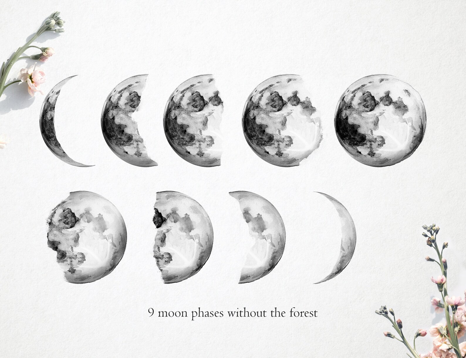 Watercolor Moon Phases Clipart Watercolor Phases of the Moon - Etsy