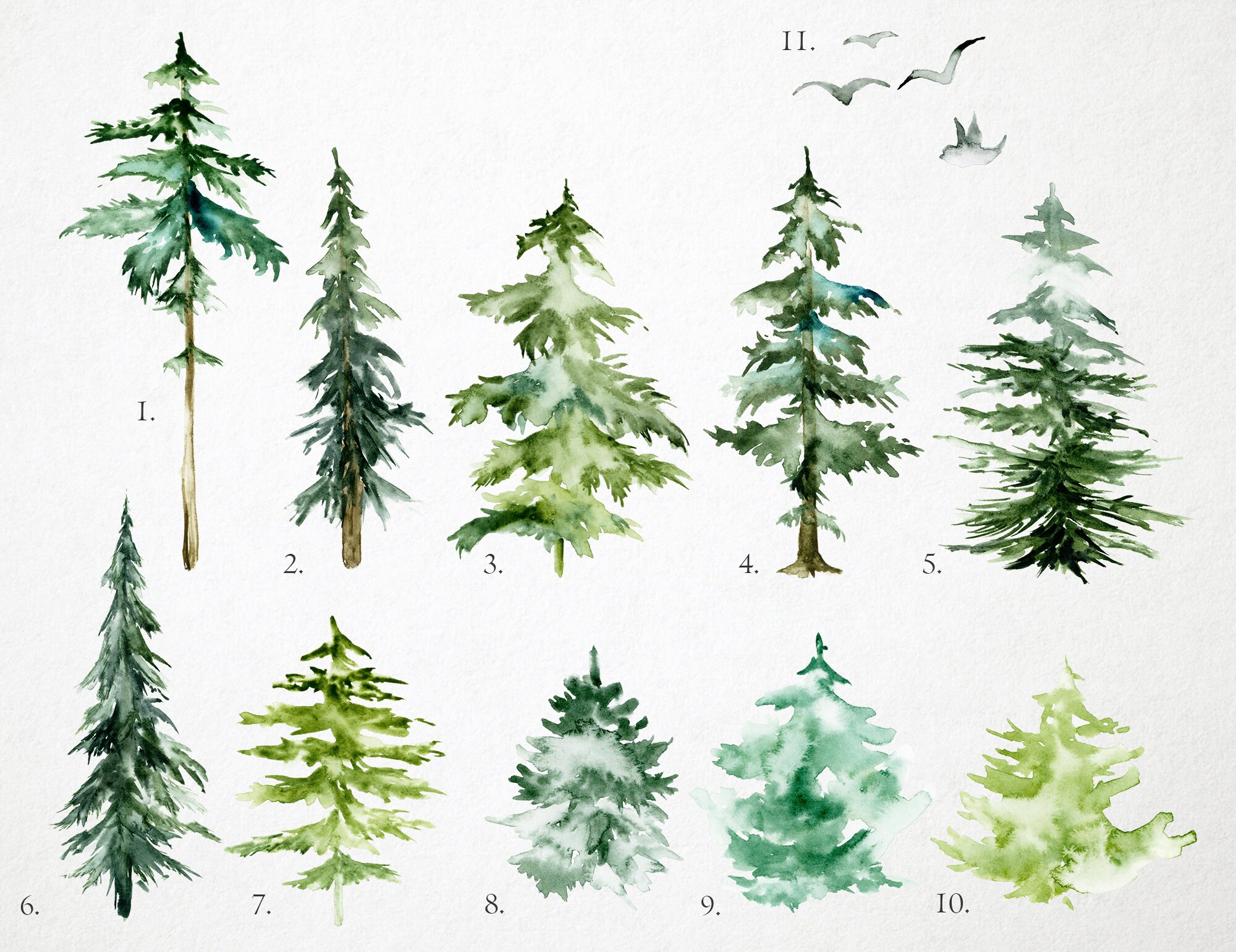 Watercolor Forest Clipart Pine Tree Clipart Northern Forest - Etsy