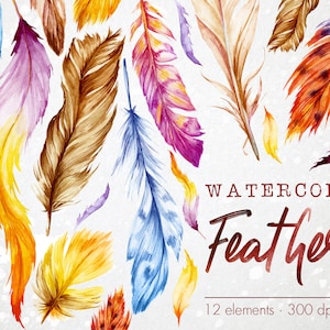 Watercolor Feathers Clipart, Hand Painted Feathers Clip Art, Rustic ...