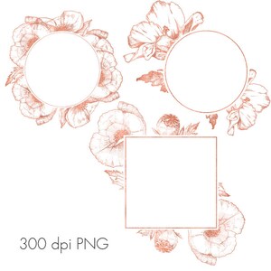 Rose Gold Frame Overlays, Rose Gold Floral Frames, Rose Gold Foil ...