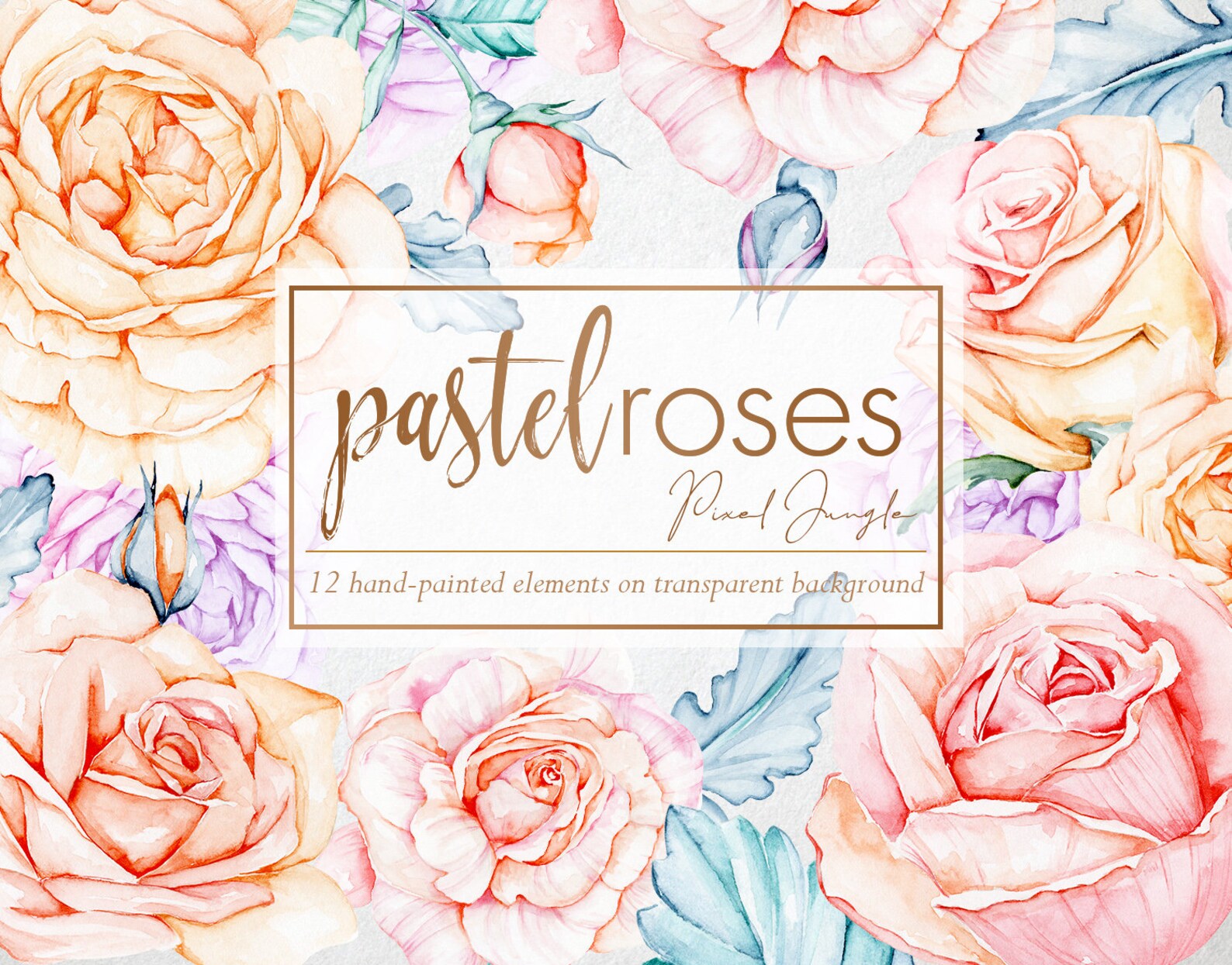 Watercolor Roses Clipart Hand Painted Watercolor Clipart - Etsy