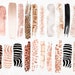 Safari Brush Strokes Clipart, Rose Gold Brush Strokes, Rose Gold Zebra ...