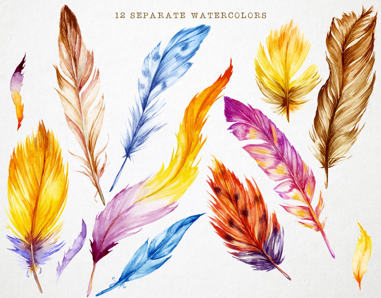Watercolor Feathers Clipart Hand Painted Feathers Clip Art | Etsy