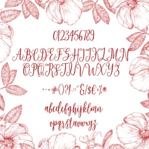 Red Alphabet With Numbers and Symbols, Glitter Alphabet Clipart, Red ...