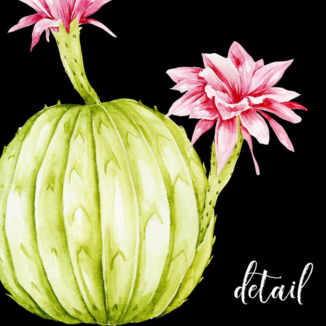 Watercolor Cactus Clip Art Watercolor Cactuses Summer Clip | Etsy