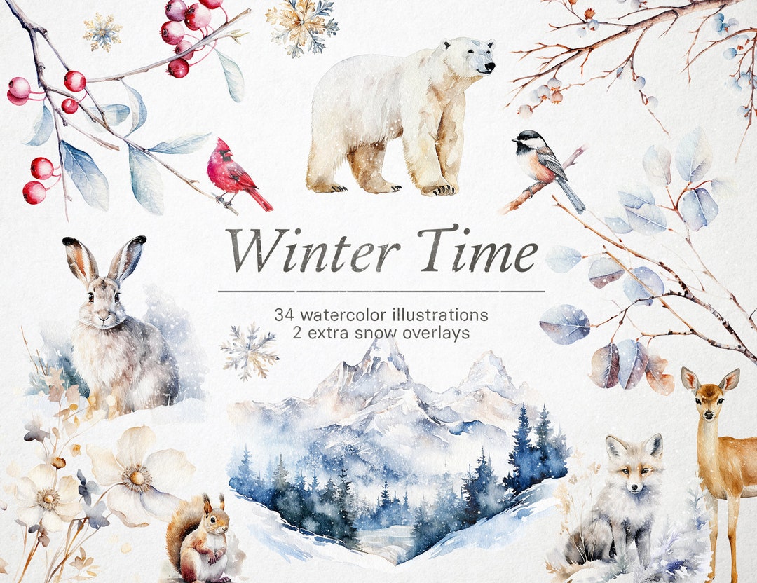 Winter Time Clip Art, Winter Design Elements, Christmas Overlays ...