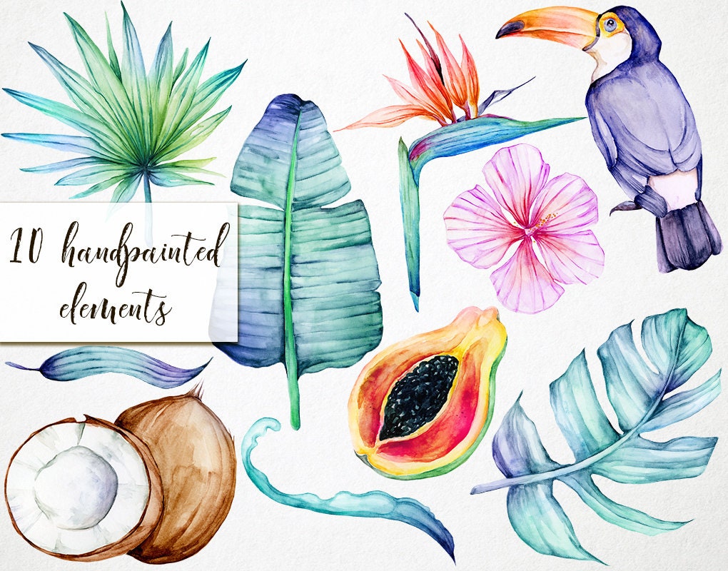 Hand Painted Watercolor Tropical Clipart Tropical Watercolor - Etsy