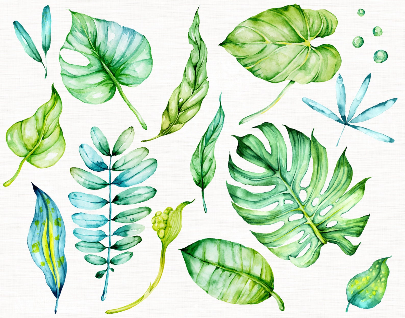Watercolor Tropical Leaves Clipart Hand Painted Watercolor - Etsy
