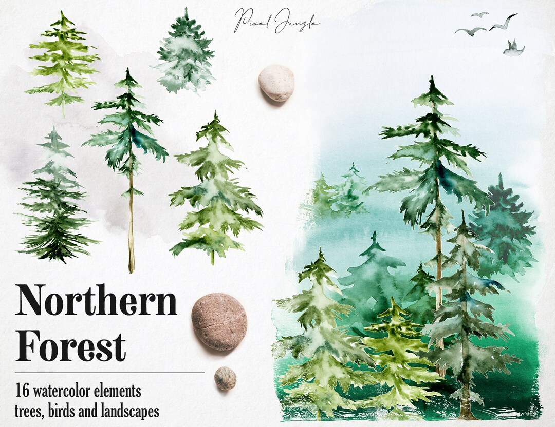 Watercolor Forest Clipart, Pine Tree Clipart, Northern Forest ...