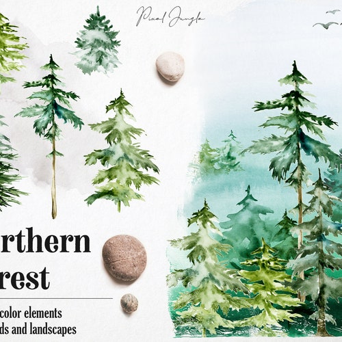 Watercolor Forest Tree Clipart. Landscapes Mountain Digital - Etsy