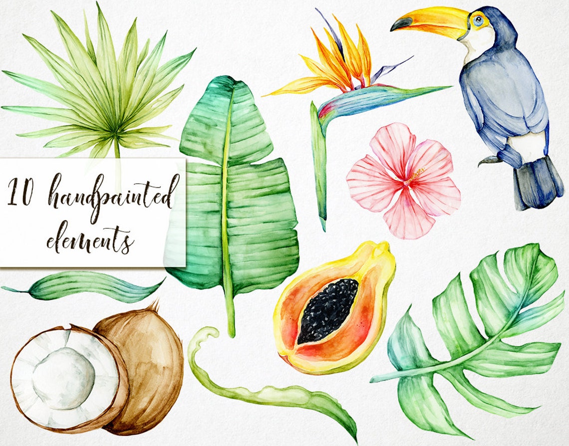 Watercolor Tropical Clipart, Handpainted Watercolor Clipart, Coconut ...
