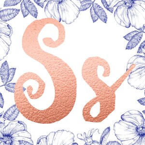 Rose Gold Letters, Alphabet Clip Art, Rose Gold Foil Alphabet, Rose ...