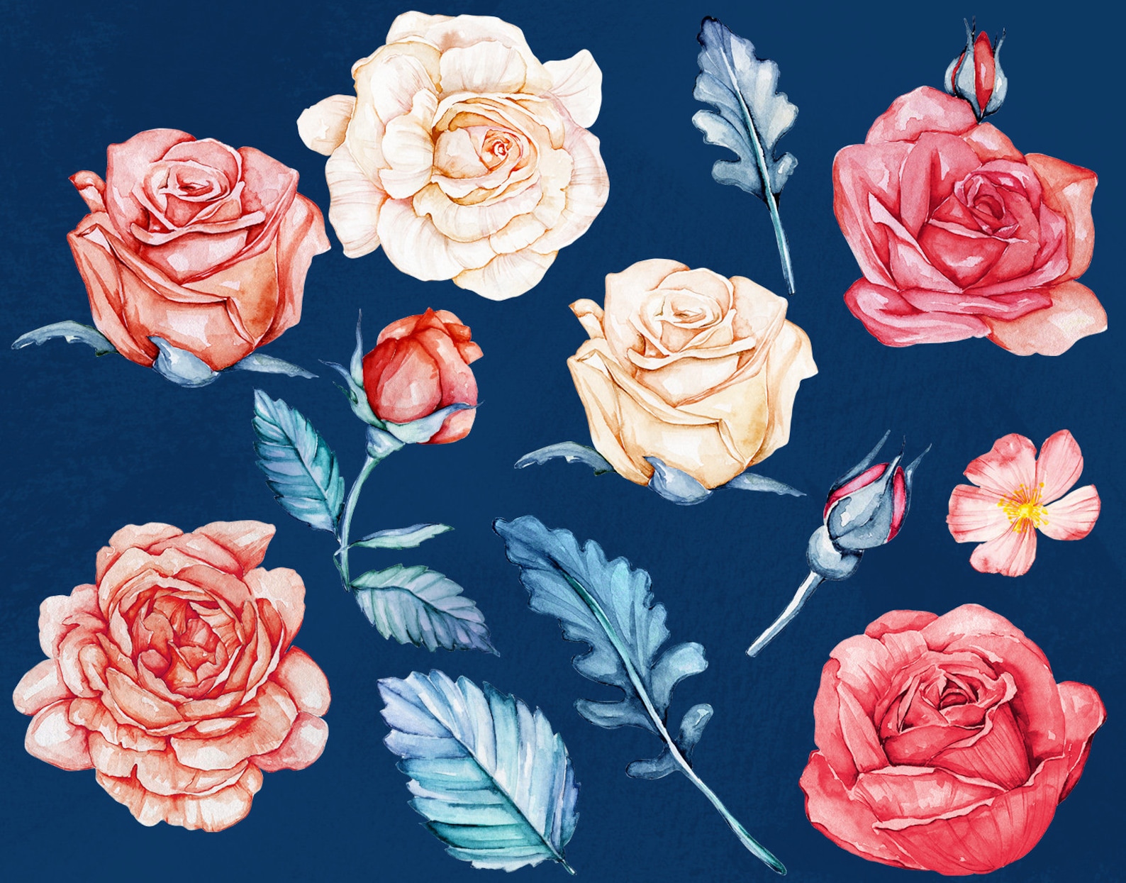 Watercolor Roses Clipart Hand Painted Watercolor Clipart Red - Etsy