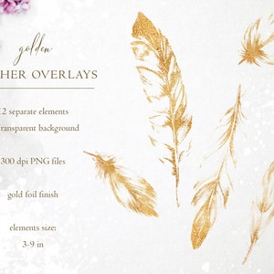 Shimmering Feathers Clipart, Gold Feathers, Bird Feather Overlays, Gold ...