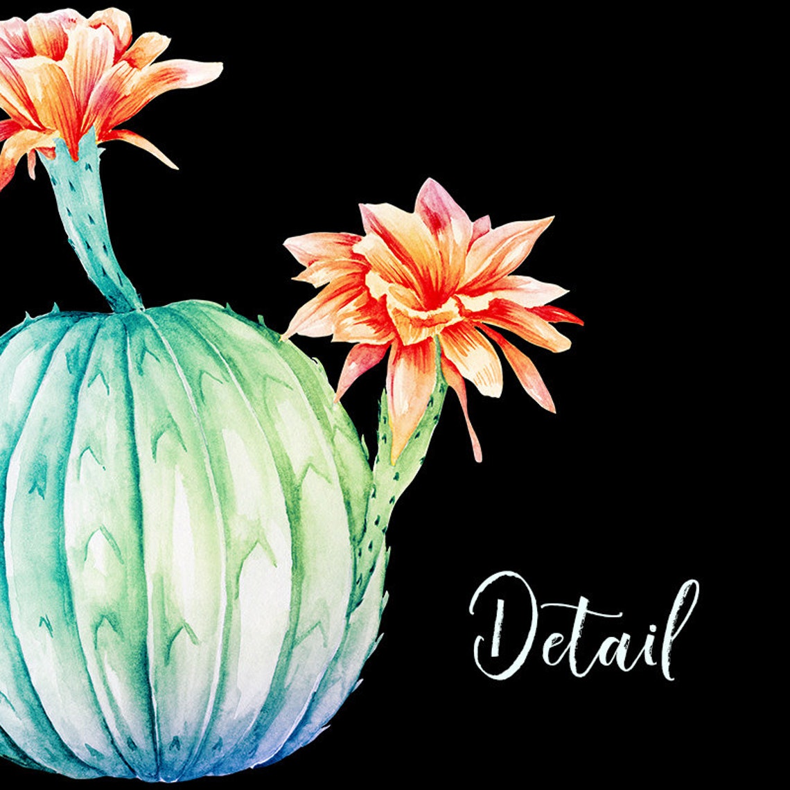 Watercolor Cactus Clip Art Watercolor Cactuses Summer Clip - Etsy