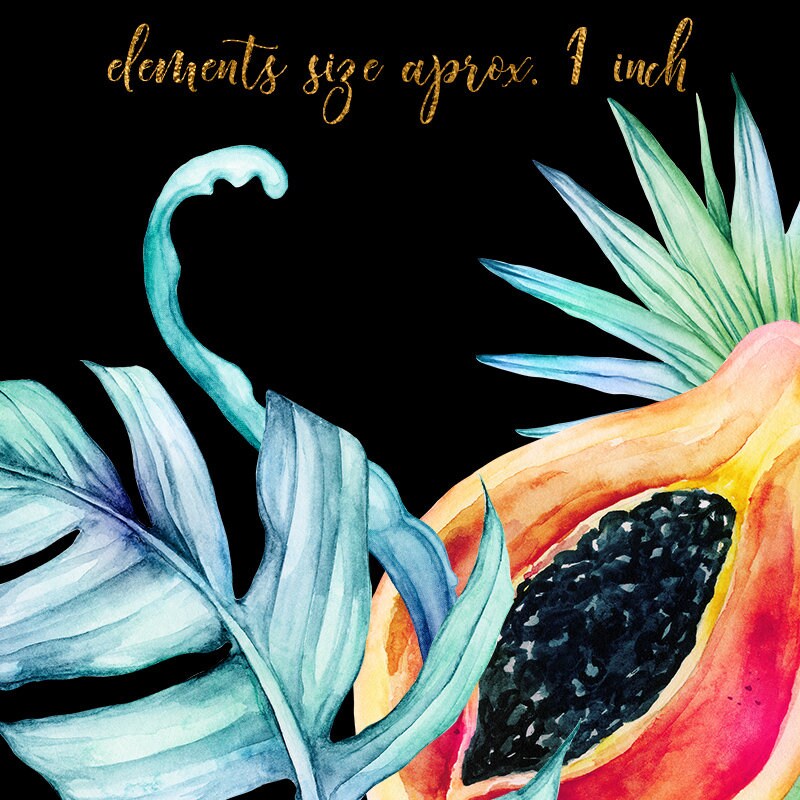 Hand Painted Watercolor Tropical Clipart Tropical Watercolor - Etsy