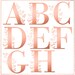 Rose Gold Monogram Alphabet Clipart, Wedding Rose Gold Alphabet, Floral ...