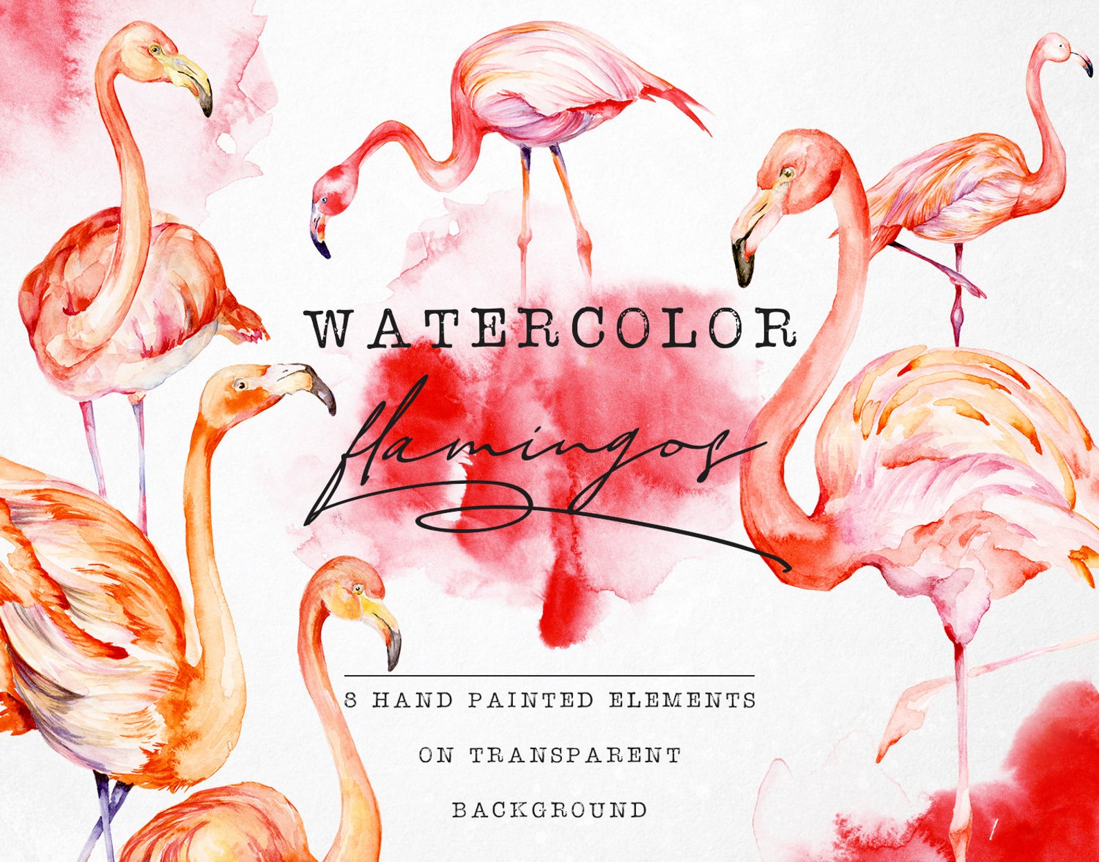 Watercolor Flamingo Clipart Watercolor Tropical Birds | Etsy