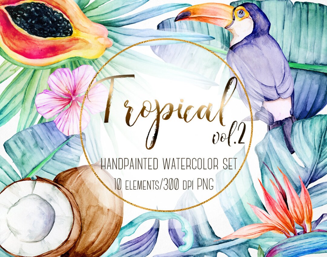 Hand Painted Watercolor Tropical Clipart, Tropical Watercolor Clip Art ...
