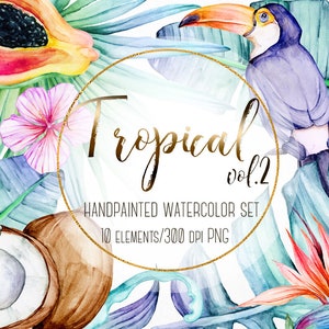 Hand Painted Watercolor Tropical Clipart, Tropical Watercolor Clip Art ...