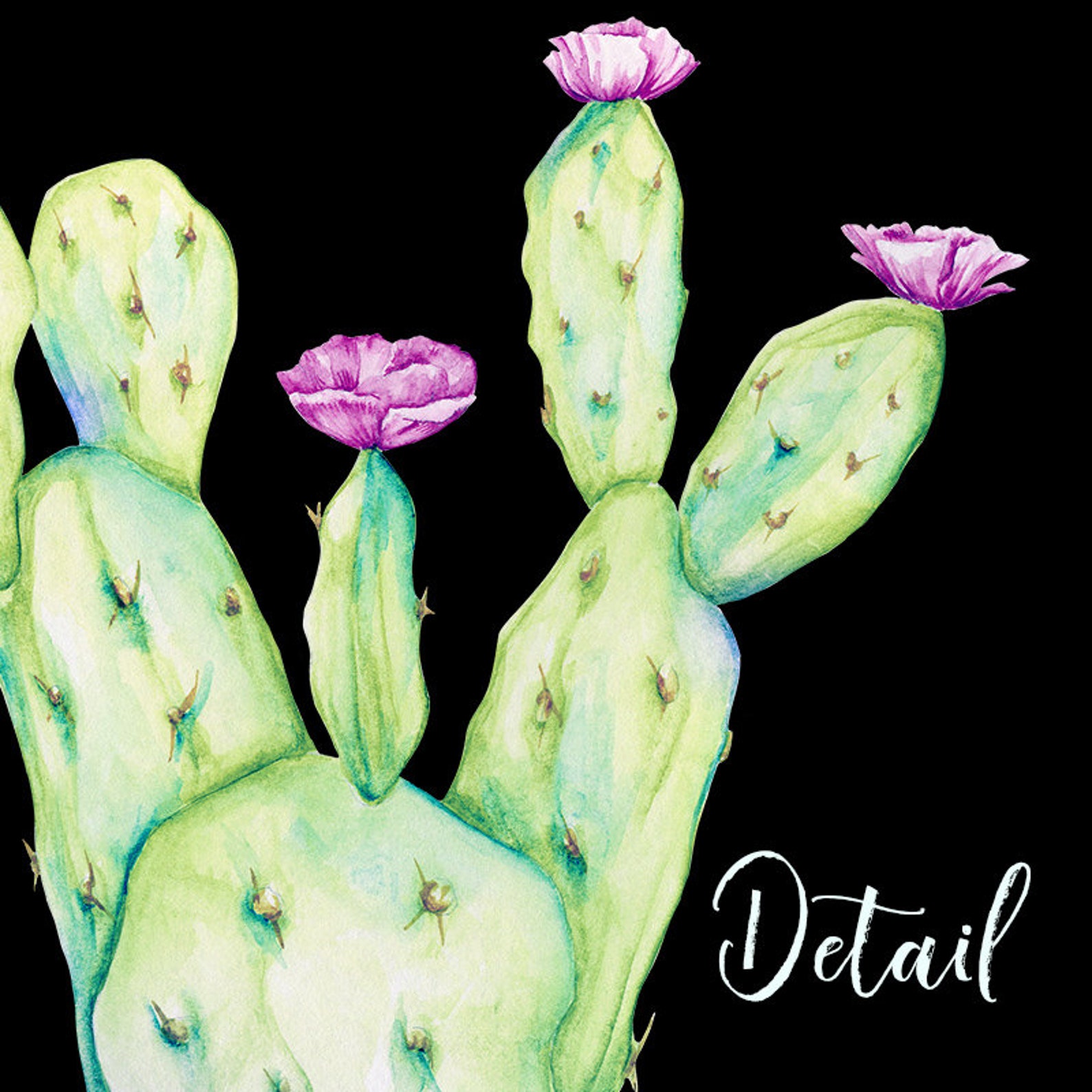 Watercolor Cactus Clip Art Watercolor Cactuses Summer Clip - Etsy