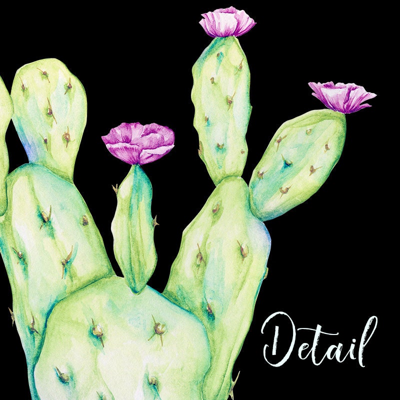 Watercolor Cactus Clip Art Watercolor Cactuses Summer Clip - Etsy