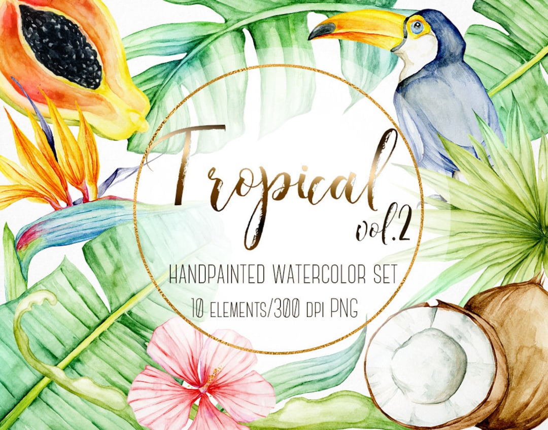 Watercolor Tropical Clipart, Handpainted Watercolor Clipart, Coconut ...
