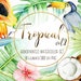 Watercolor Tropical Clipart, Handpainted Watercolor Clipart, Coconut ...