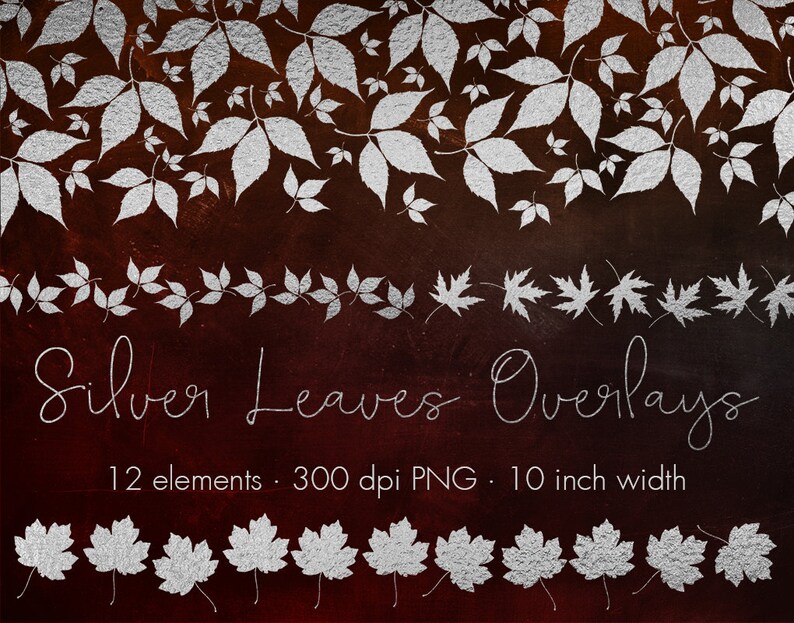 Silver Leaf Overlays, Silver Leaves Clipart, Autumn Clip Art, Silver ...